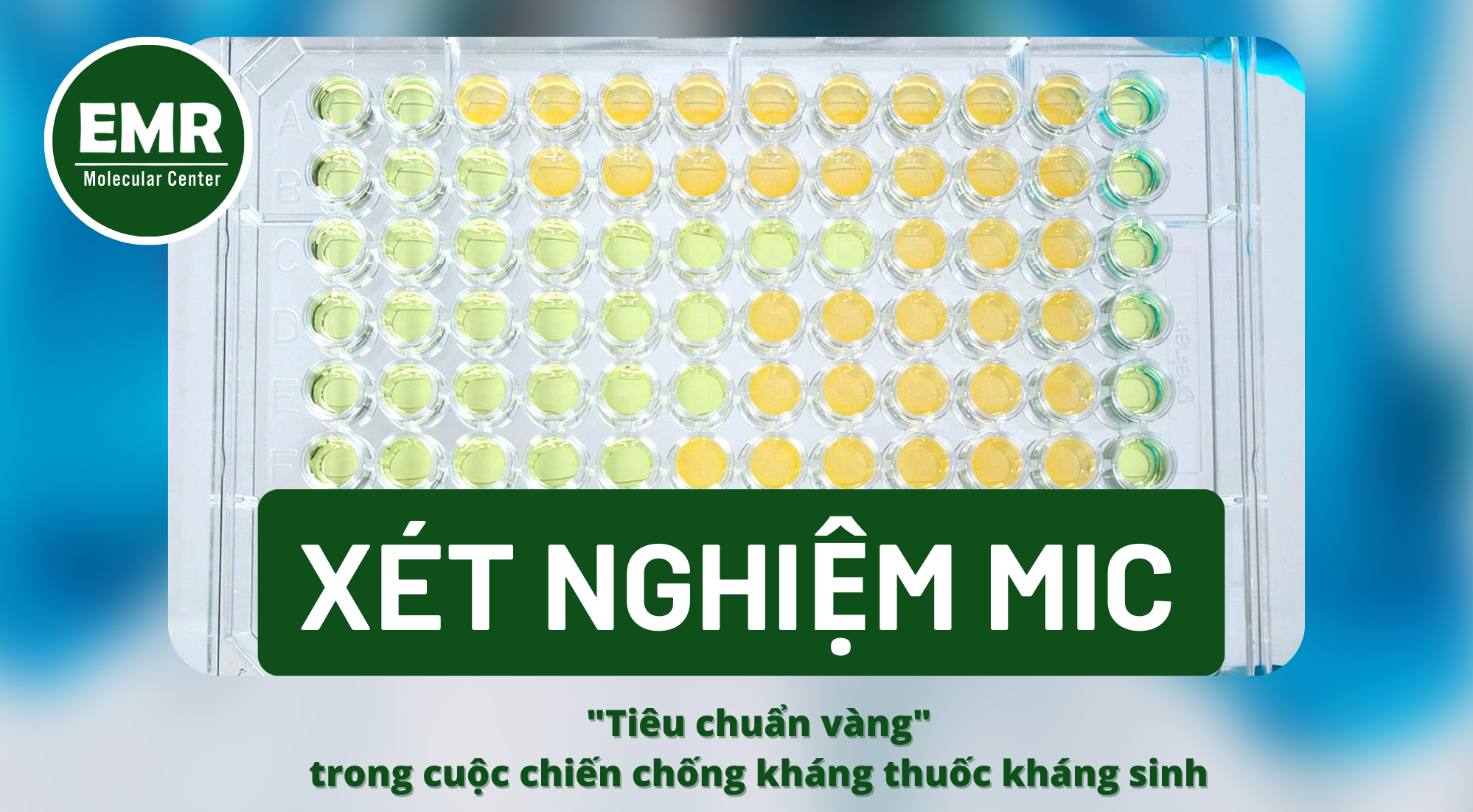 XÉT NGHIỆM MIC "TIÊU CHUẨN VÀNG" TRONG CUỘC CHIẾN CHỐNG KHÁNG THUỐC KHÁNG SINH - PHÒNG XÉT ...